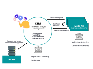 PKI + CLM: the essential duo for managing digital certificates